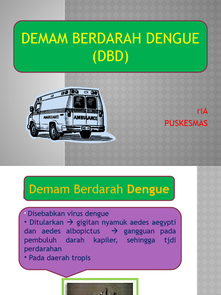 PENYULUHAN Demam Berdarah Dengue (DBD) | PDF