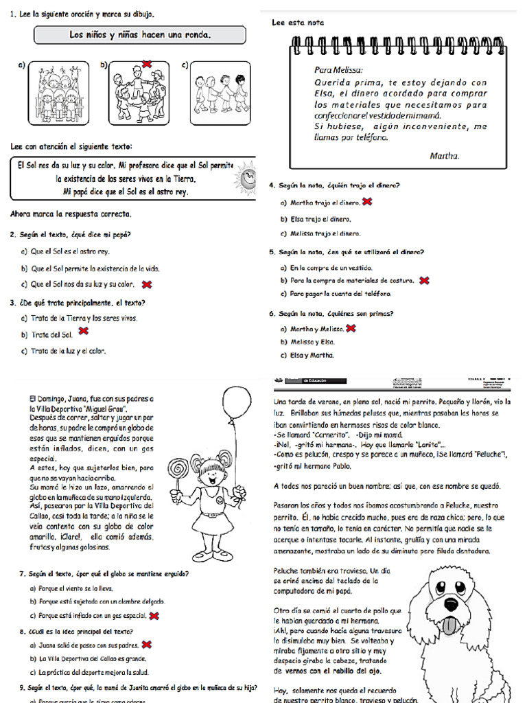 PRUEBA ECE Con Respuestas | PDF