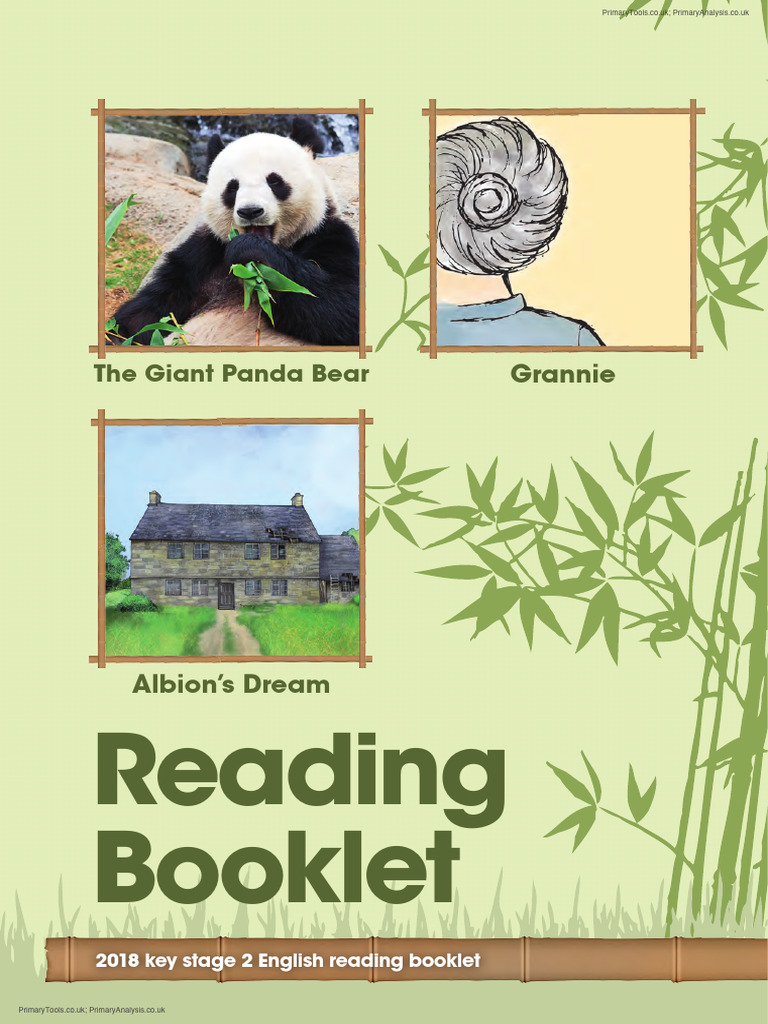 KS2 English Reading 2018 | PDF | Giant Panda | Bears