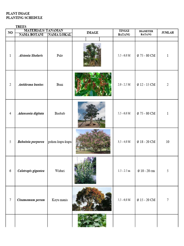 Planting Plan | PDF | Medicinal Plants | Vegan Cuisine