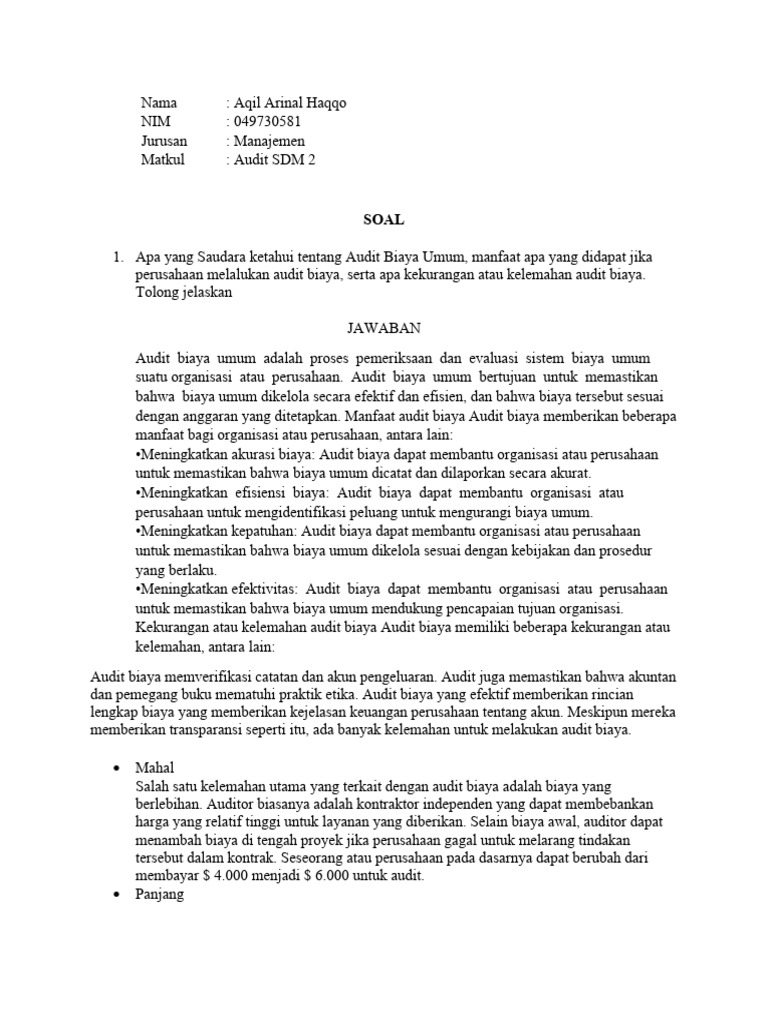 Aqil Arinal H - Audit SDM 2 | PDF