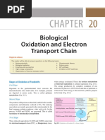 Functions and Composition of Succus Entericus | PDF | Digestive System ...