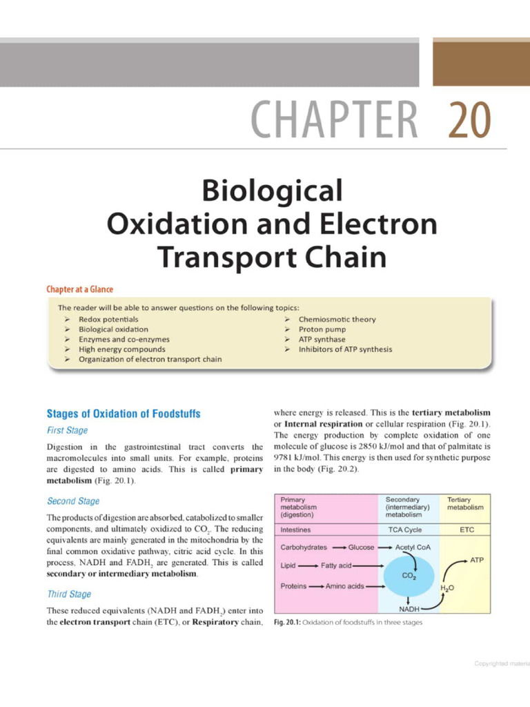 Biological Oxidation and ETC | PDF