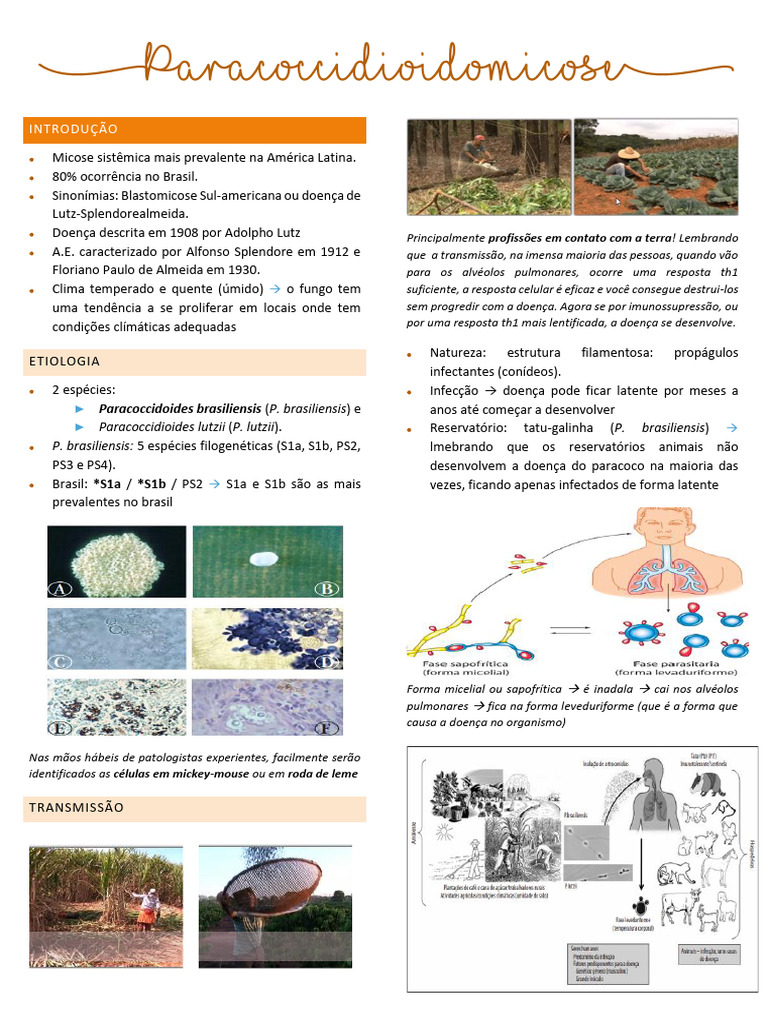 Paracoccidioidomicose PDF Brait | PDF | Causas de morte | Especialidades médicas