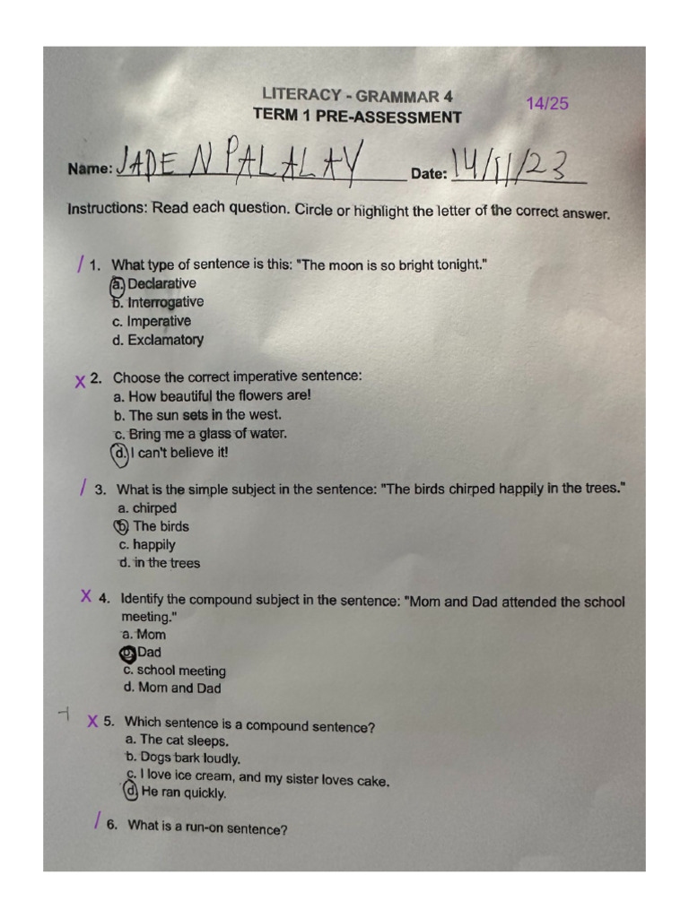 Jaden - Grammar Pre-Assessment | PDF