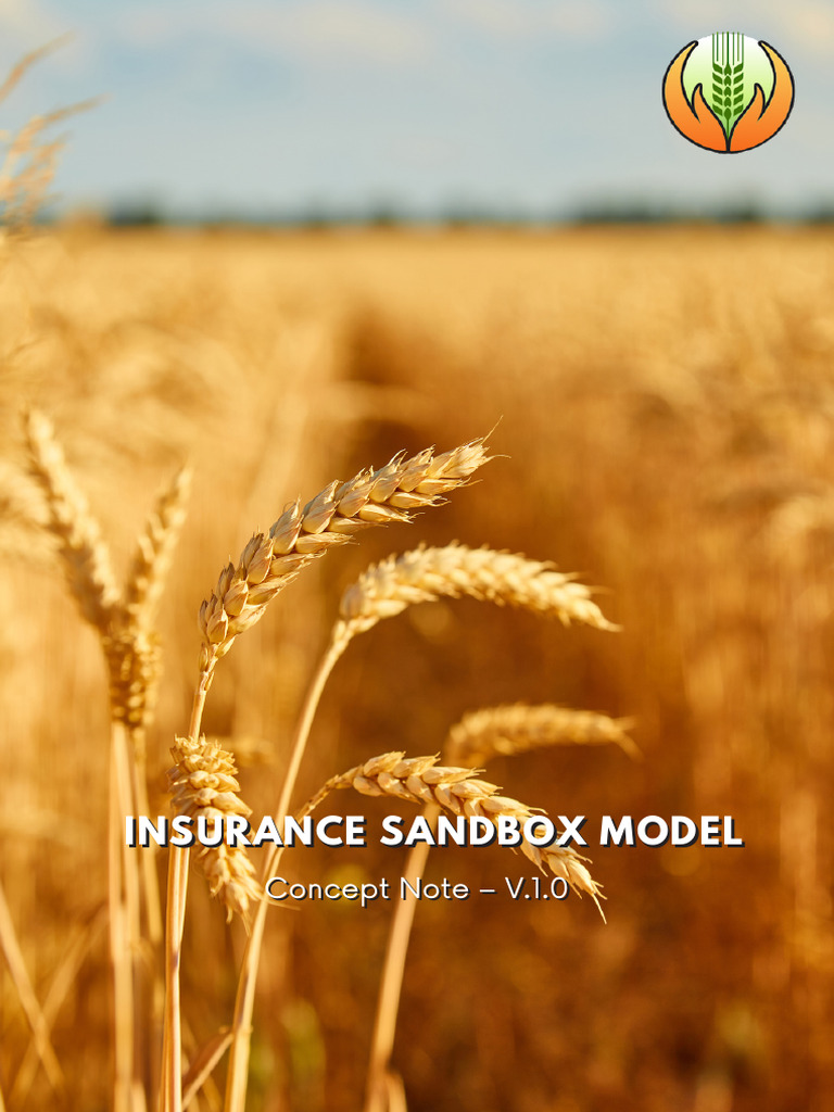 Sandbox ConceptNote V1 | PDF | Insurance | Option (Finance)