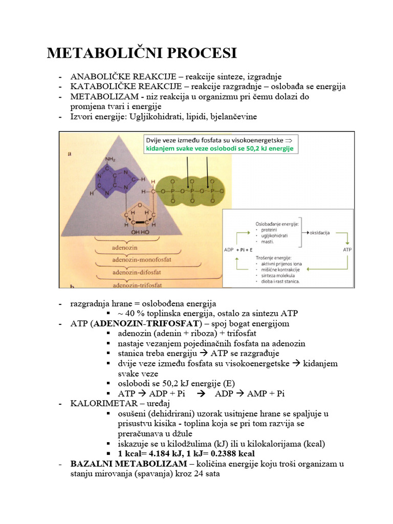 Bio Skripta Pdf