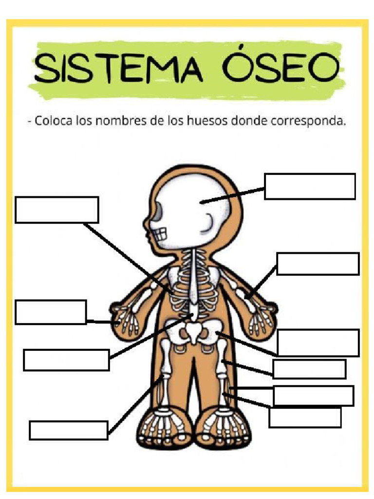 SISTEMA OSEO | PDF