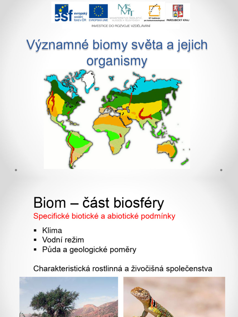 OPAKOVANI Biomy Na Zemi | PDF