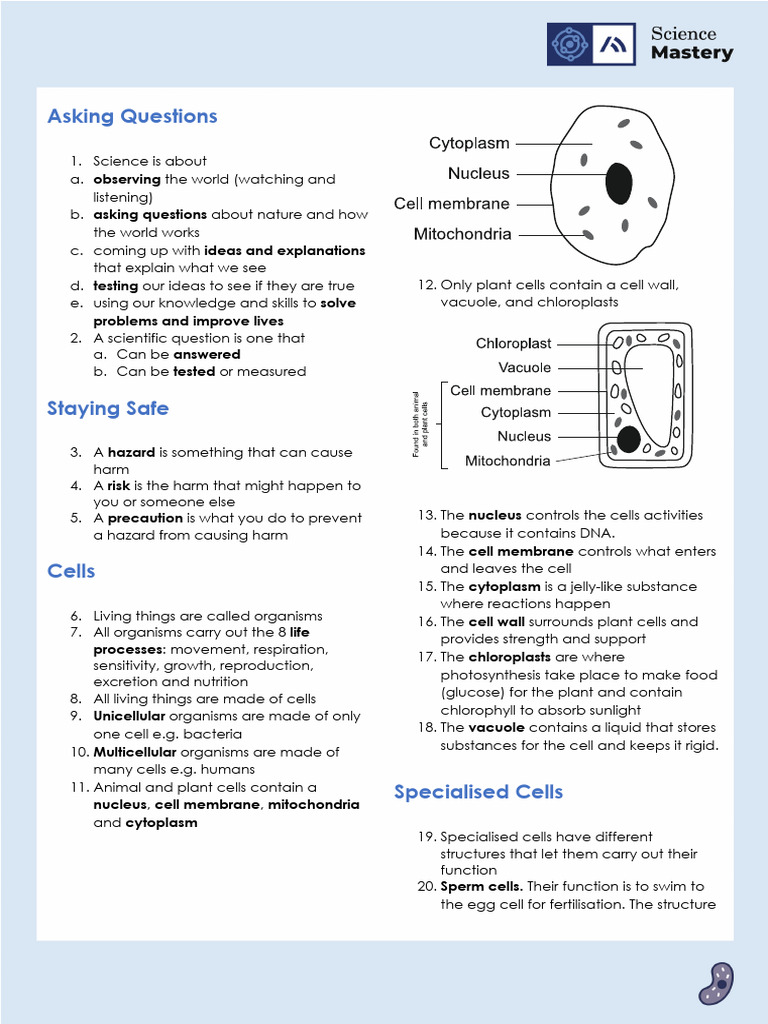 B1.1 Knowledge Organiser | PDF | Cell (Biology) | Organisms
