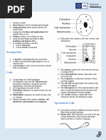 Year 7 - Biological Structures - Cells | PDF | Cell (Biology) | Chloroplast
