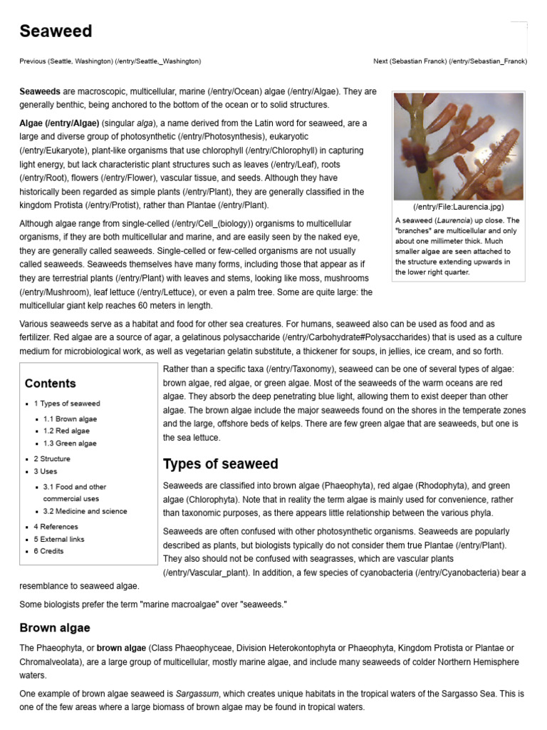 Seaweed - New World Encyclopedia | PDF | Seaweed | Algae