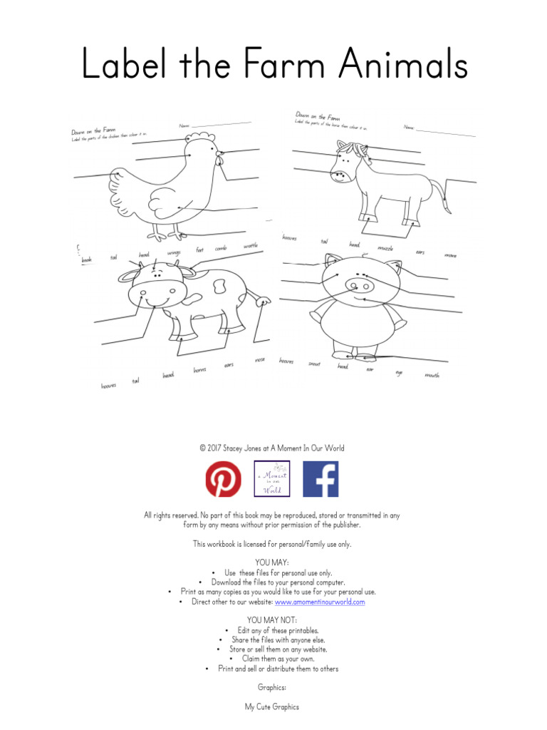 LabeltheFarmAnimals 1 | PDF | Home & Garden