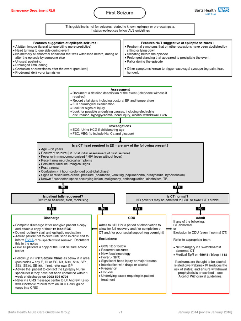First Seizure-RCEM | PDF | Epilepsy | Human Diseases And Disorders