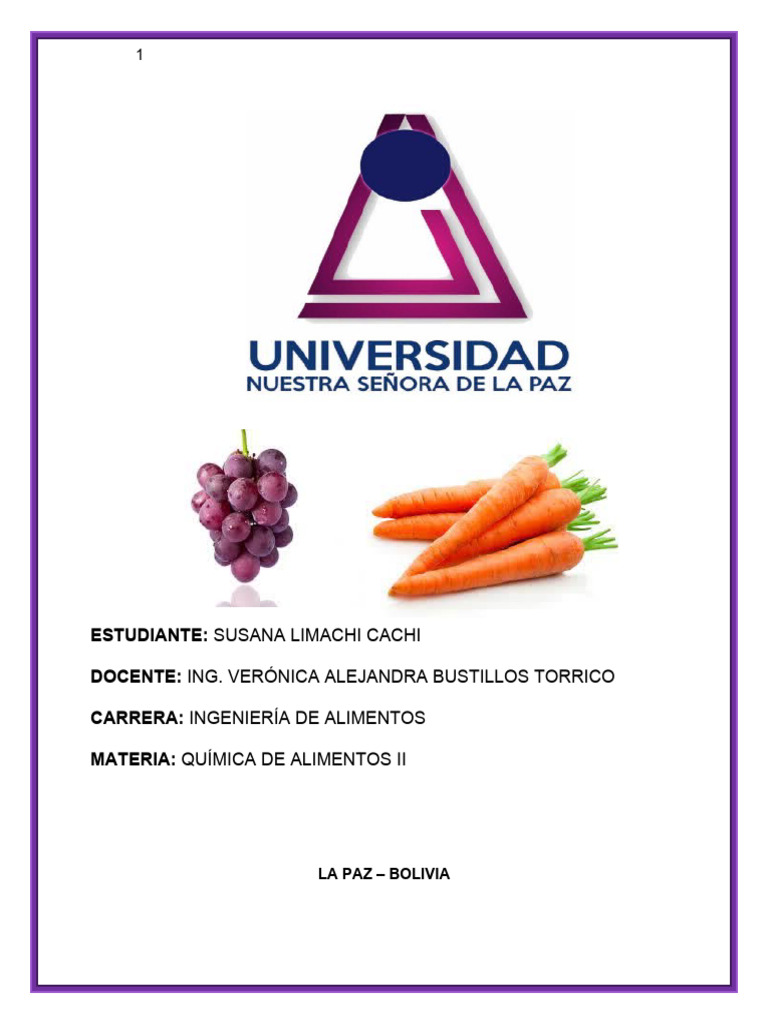 Informe 5 Química De Alimentos 2 Comportamiento De Los Carotenos Y
