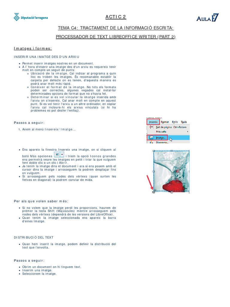 Manual Del Tema 4 - Part 2 - Secció 1 Actic Mitjà | PDF