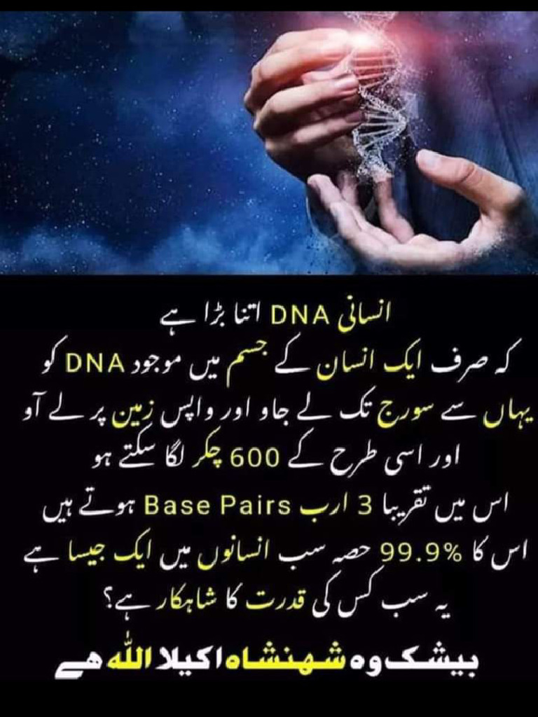 Knowledge Short | PDF