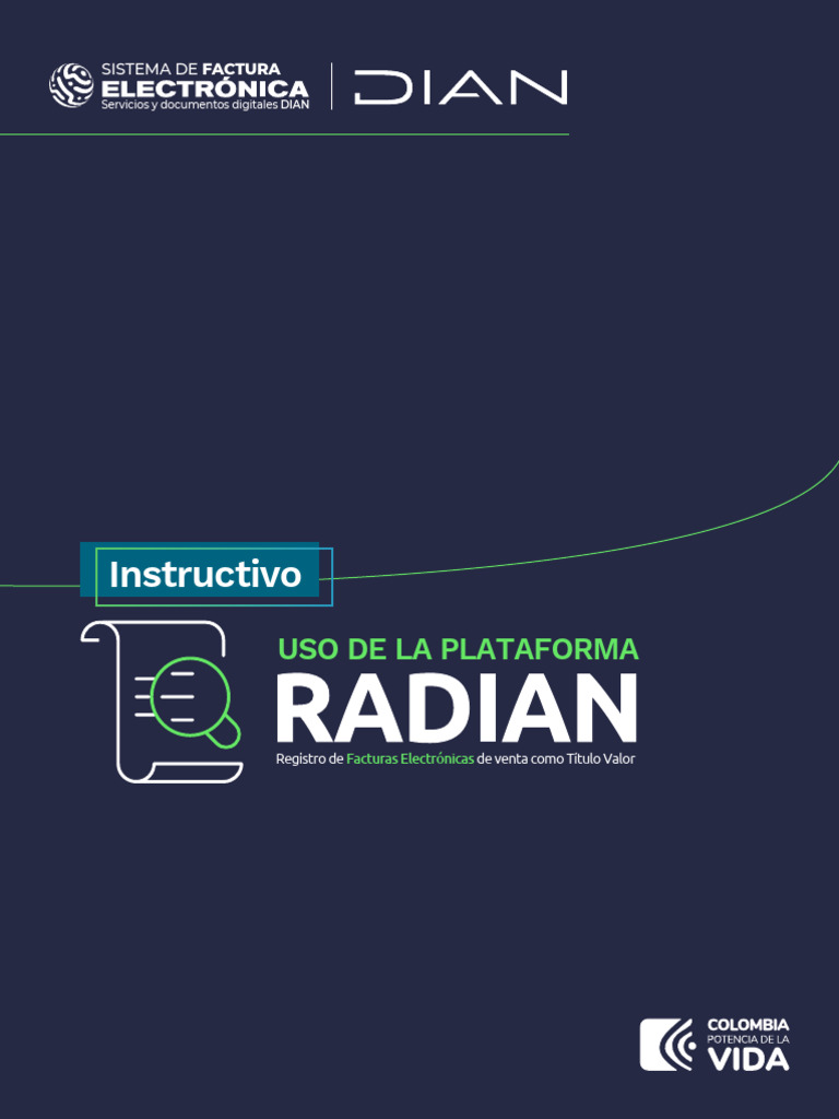 Instructivo-RADIAN | PDF