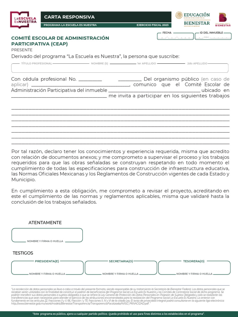 Formato - Carta Responsiva | Descargar gratis PDF | Gobierno | Justicia