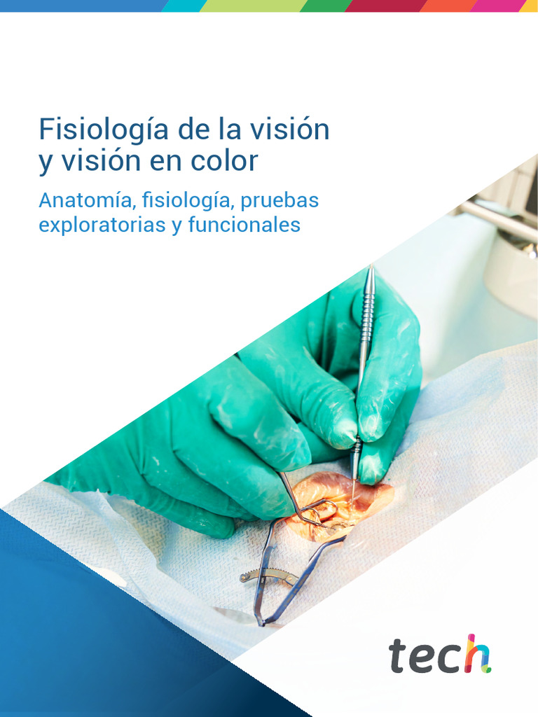 Fisiología de la Visión y Color | PDF | Percepción visual | Lóbulo ...