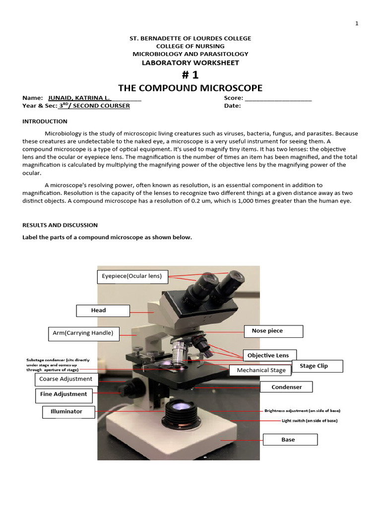 Compound Microscope Lab Worksheet | PDF