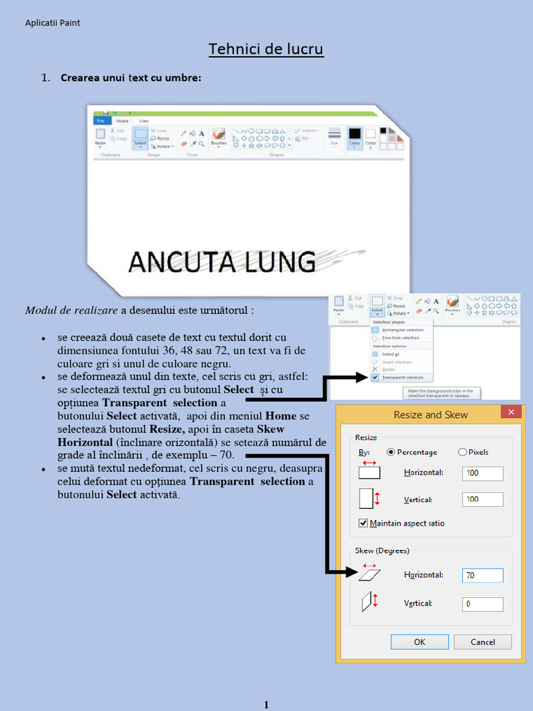 Aplicatii Paint | PDF