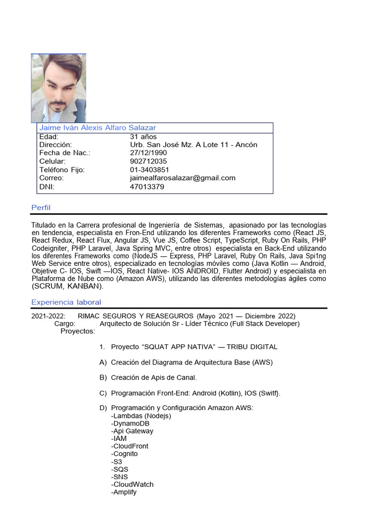 Cv-Jaime Alfaro | PDF | Informática