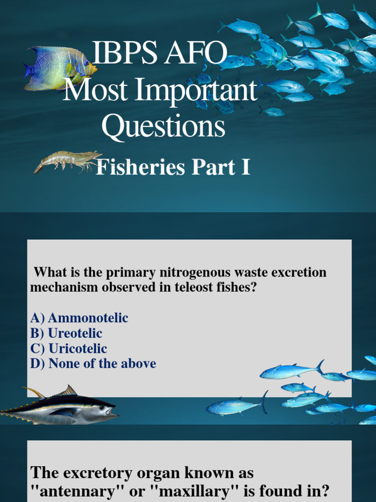 Most Important Fisheries Questions | PDF