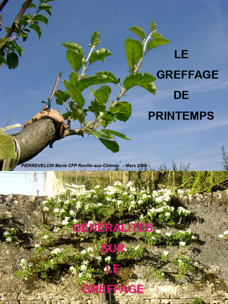 Guide du Greffage de Printemps | PDF | Greffe (botanique) | Plantes
