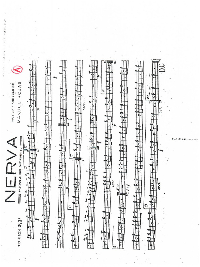 Nerva PDF | PDF