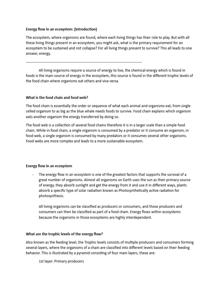 Energy Flow in An Ecosystem | PDF | Food Web | Ecosystem