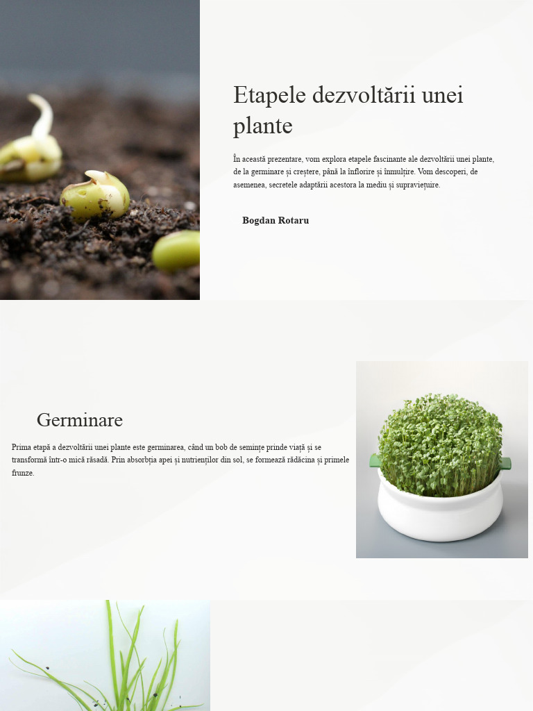 Etapele Dezvoltarii Unei Plante | PDF