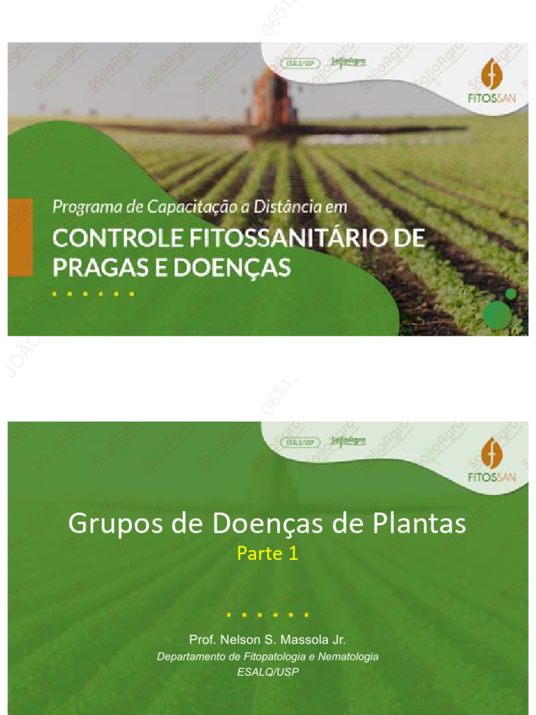 Classificacao de Doencas de McNew Parte 1 | PDF