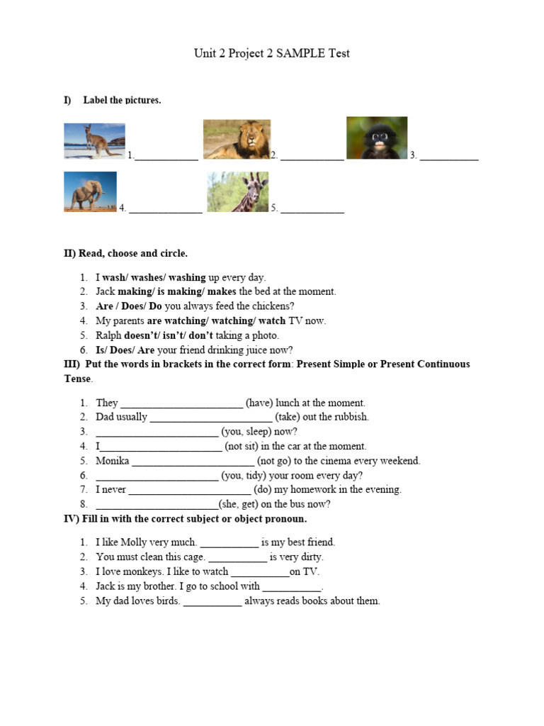 Project 2, Unit 2, Sample Test | PDF | Dinner