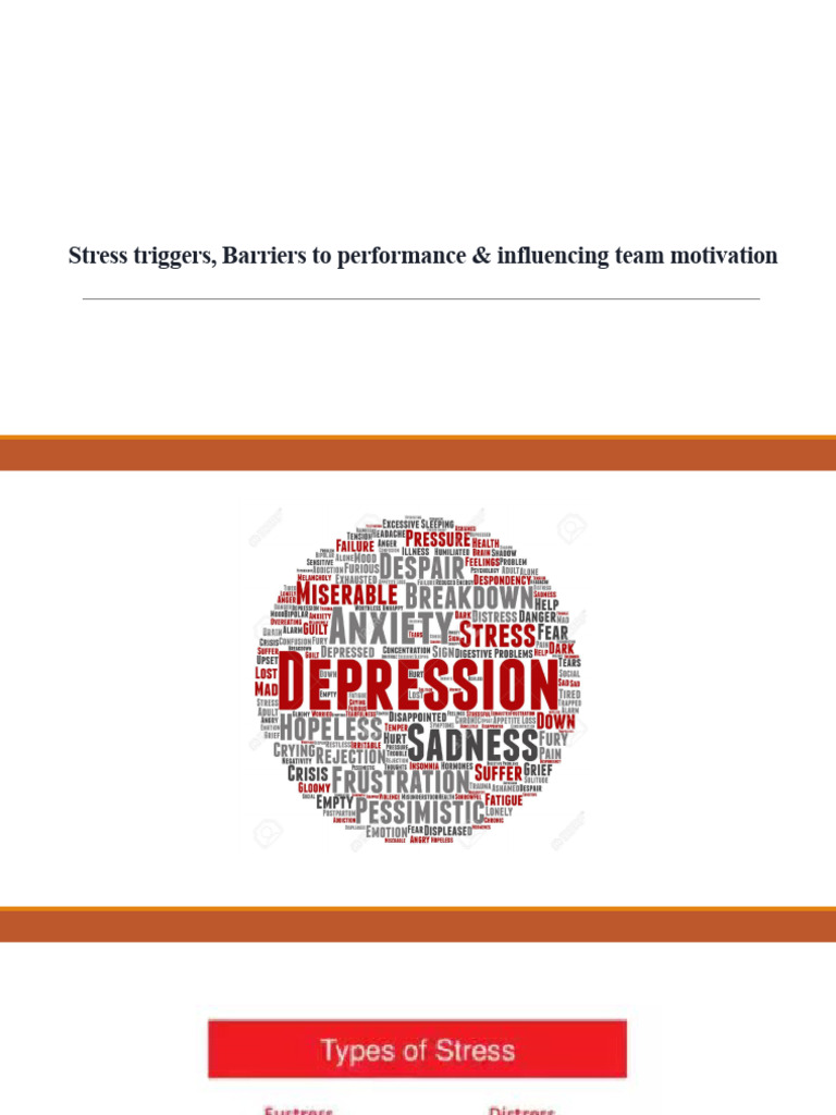 Stress Triggers, Barriers To Performance & Influencing | PDF