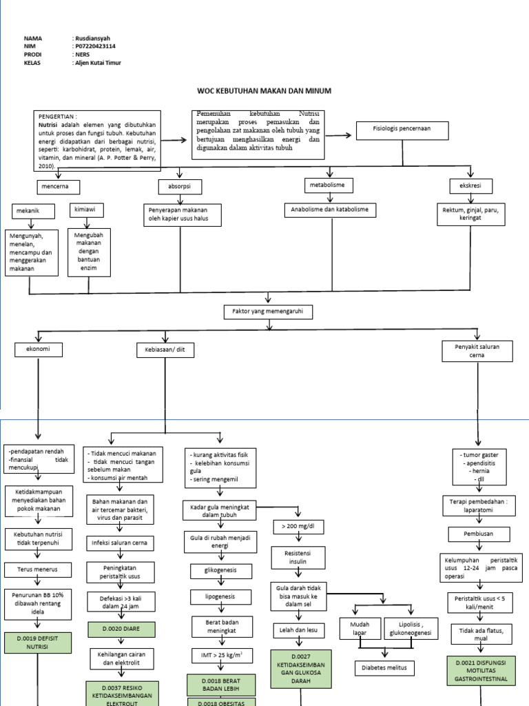 Woc Nutrisi Dan Cairan | PDF