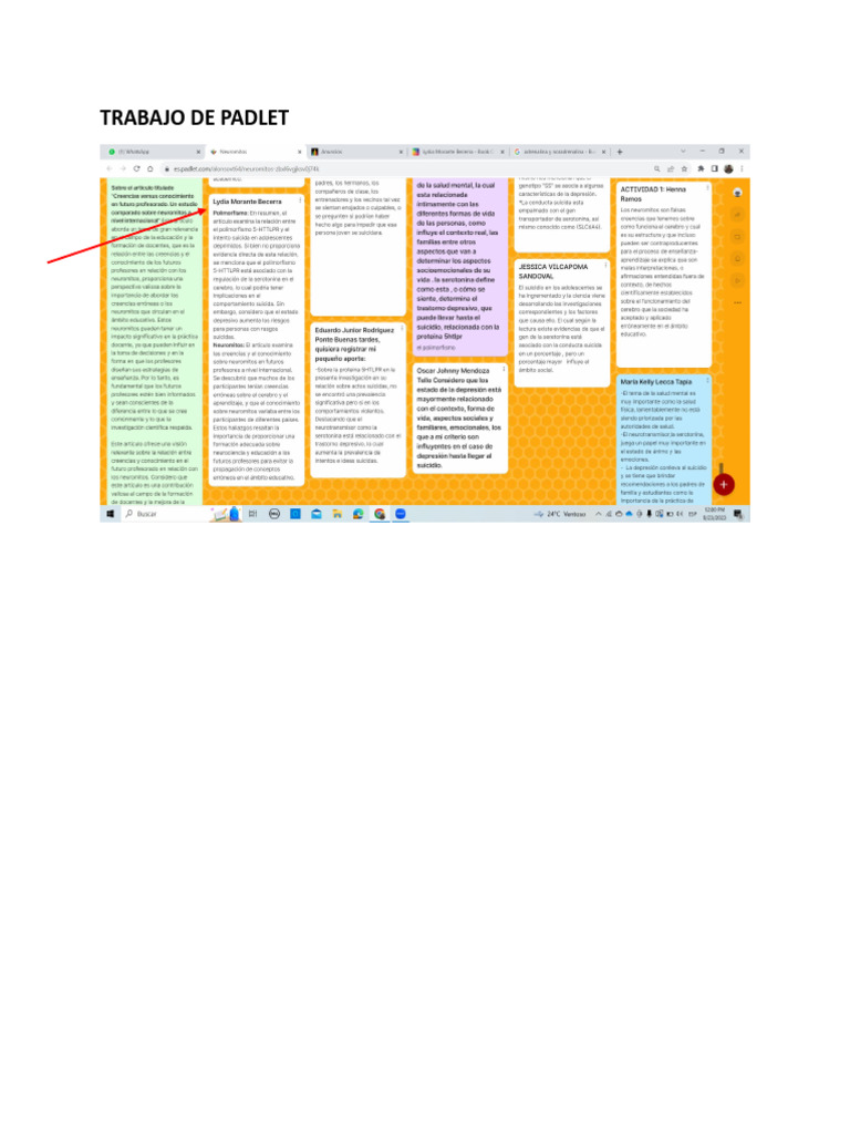 Trabajo de Padlet - Semana 1 | PDF