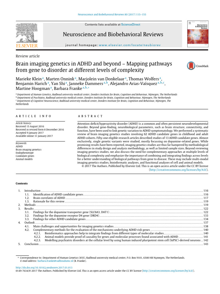 Brain Imaging Genetics in ADHD | PDF | Attention Deficit Hyperactivity ...