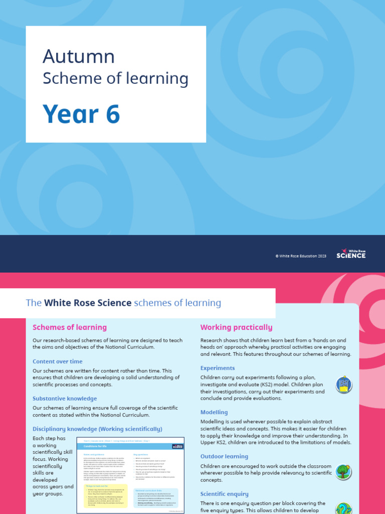 Year 6 Science: Living Things Overview | PDF | Skeleton | Curriculum