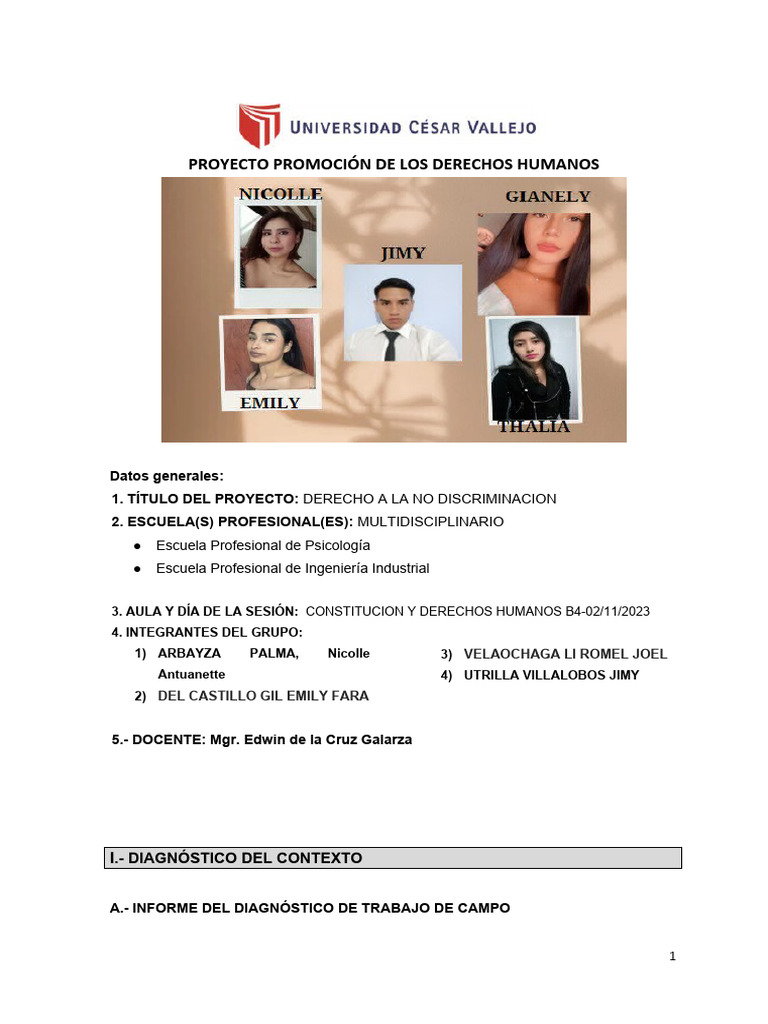 Esquema - Proyecto - Promoción de DDHH | PDF | Discriminación | Metodología de encuesta