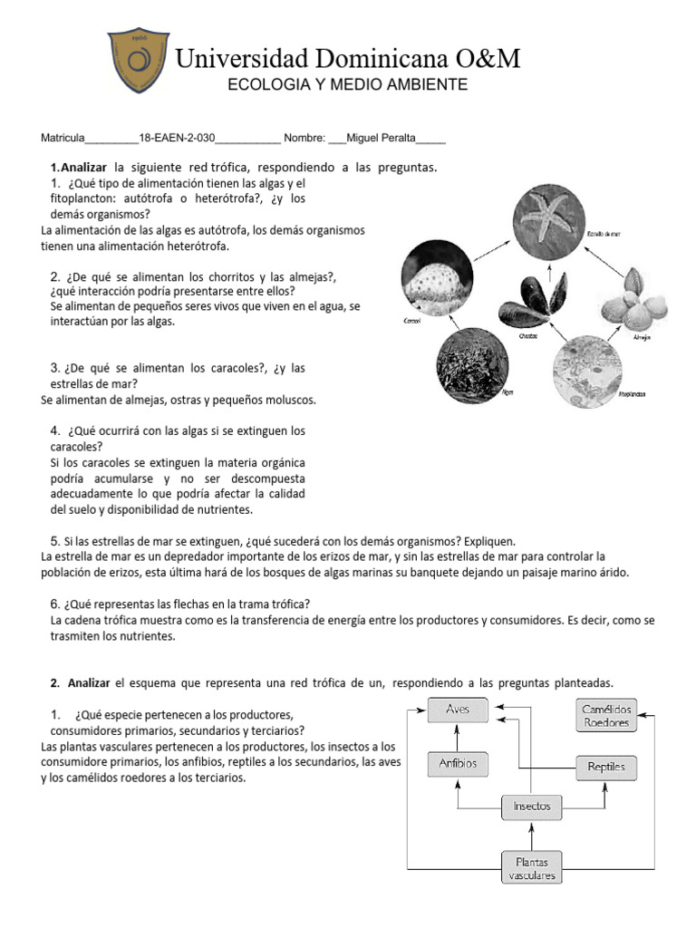 Practica Cadenas Alimentarias y Redes Troficas | PDF | Red alimentaria ...