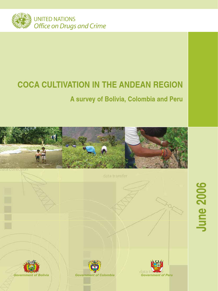 Andean Full Report | PDF | Coca | Cocaine