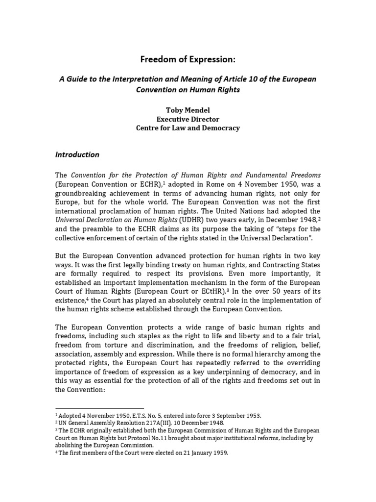 Freedom of Expression - A Guide To The Interpretation and Meaning of ...