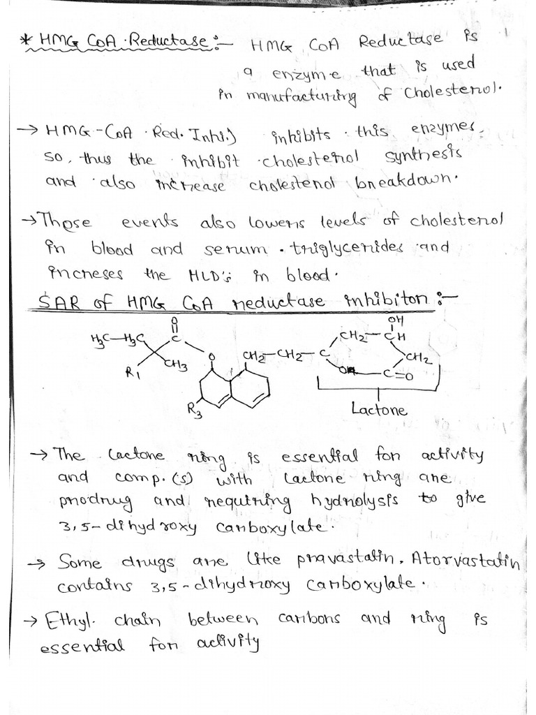 Sar of ACE Inhibitors & HMG CoA Reductase | PDF