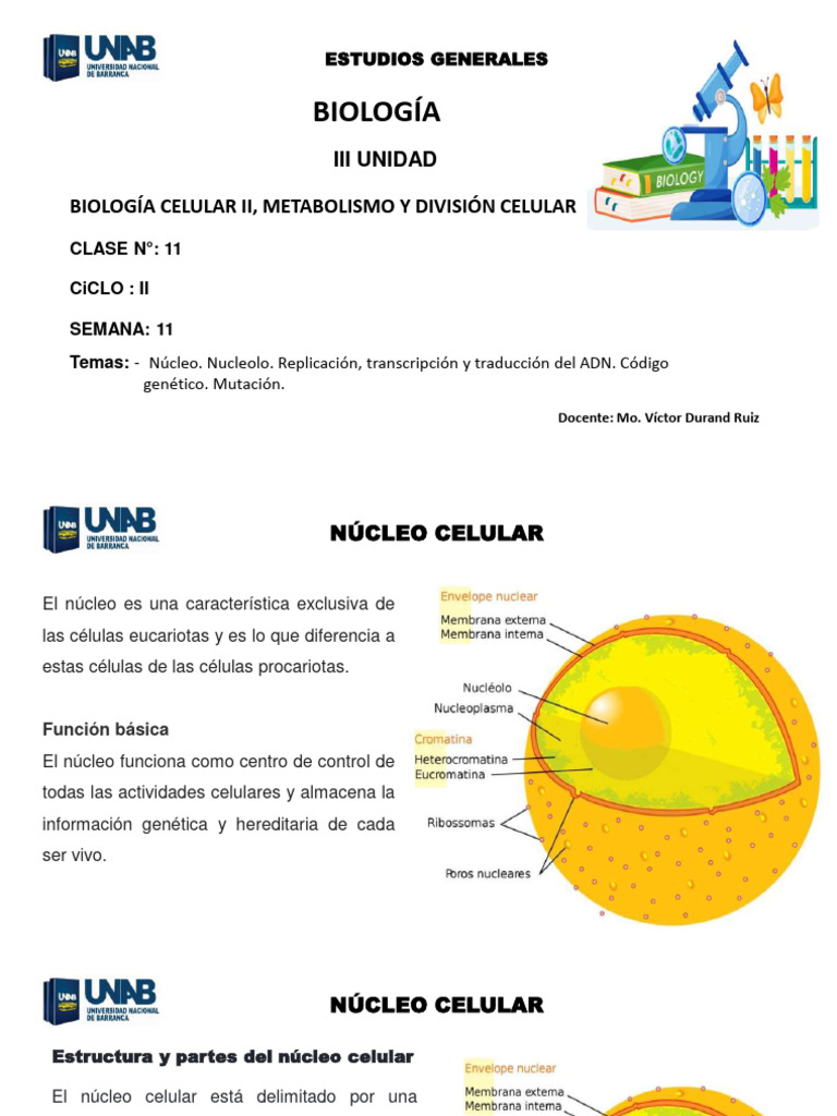 Clases Semana 11 Biologia Unab 2023 | PDF