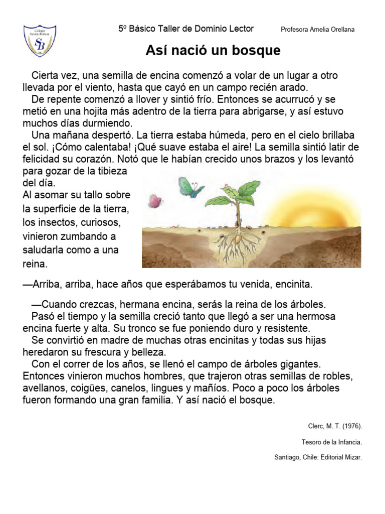 Así nació un bosque | PDF