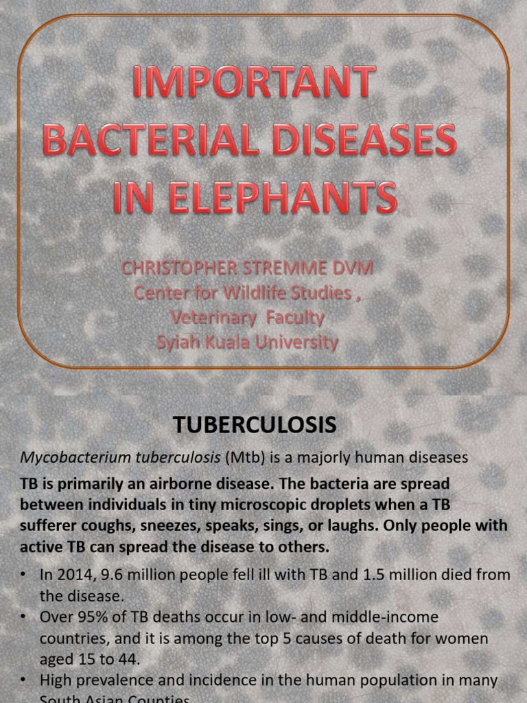 Bacterial and Viral Diseases in Elephants | PDF | Science & Mathematics