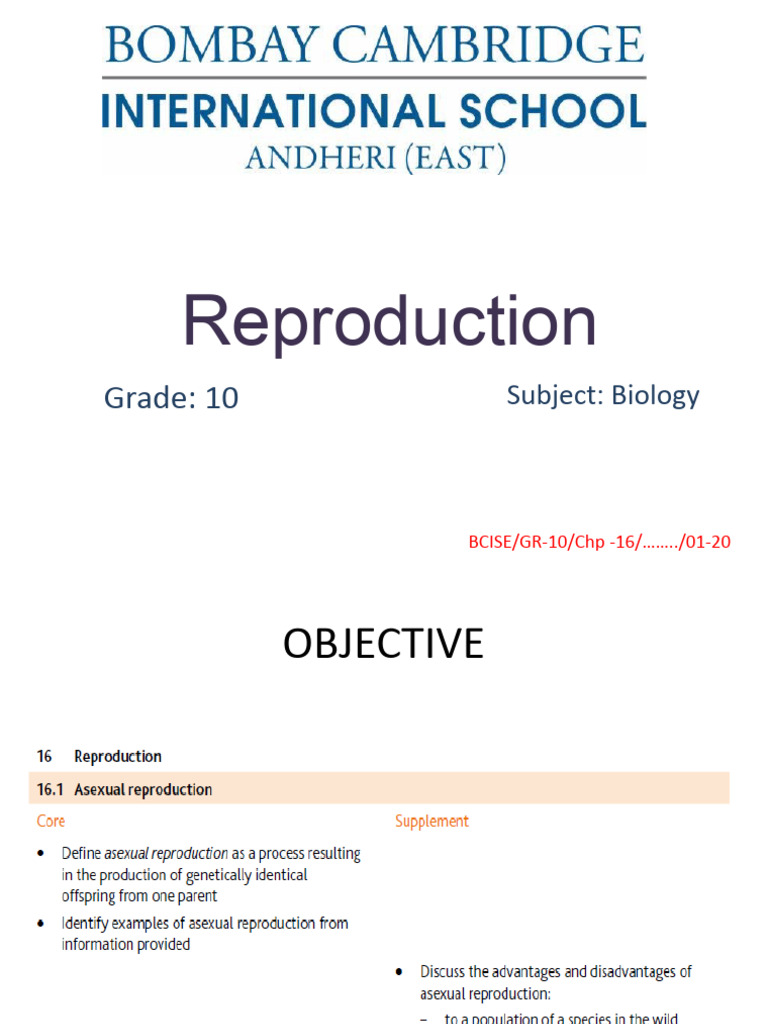 Reproduction | PDF
