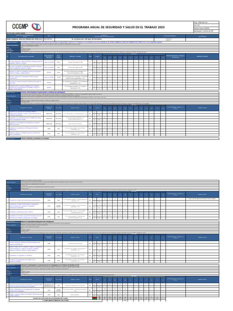 Programa de Seguridad y Salud en El Trabajo | PDF | Seguridad y salud ...