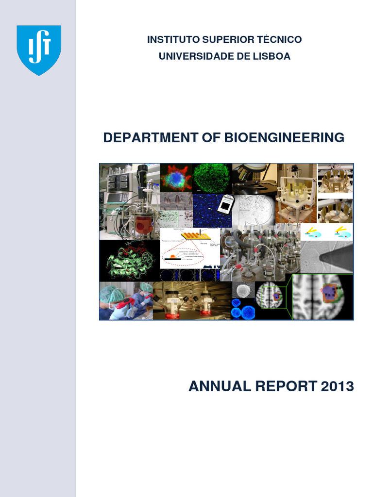 DBE Report 2013 Complete | PDF